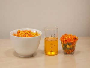 Neven cvet (Calendula officinalis) je neprocenjiva lekovita biljka