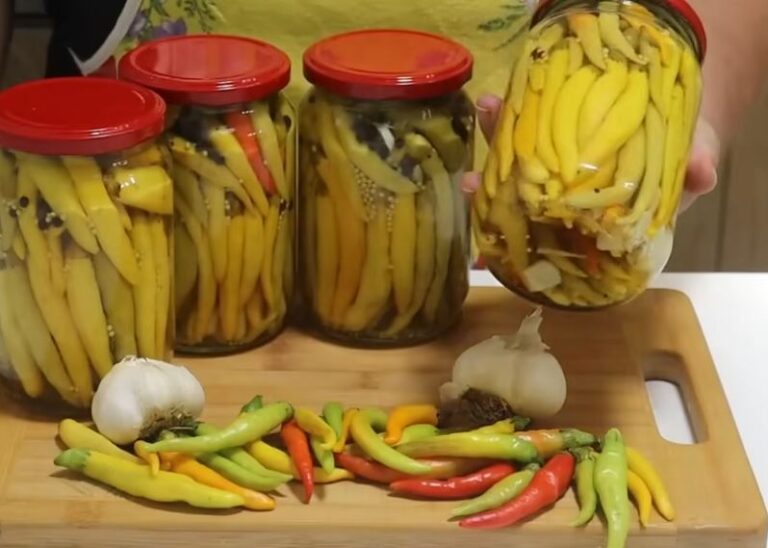 Ljute papričice (feferoni) u tegli – bez konzervansa